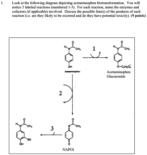 SOLVED:Look at the following diagram depicting acetaminophen ...