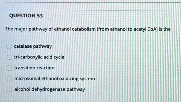 SOLVED: QUESTION 53 The major pathway of ethanol catabolism (from ...