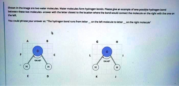 Hydrogen Bond Examples In Water