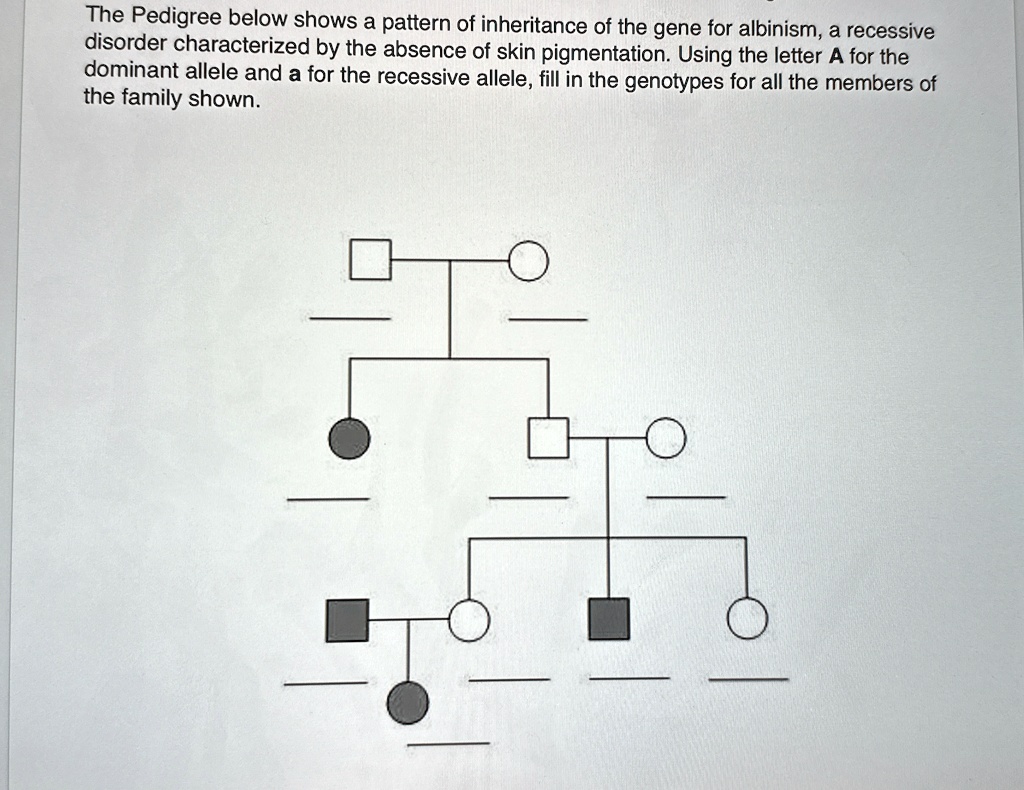the pedigree below shows a pattern of inheritance of the gene for ...