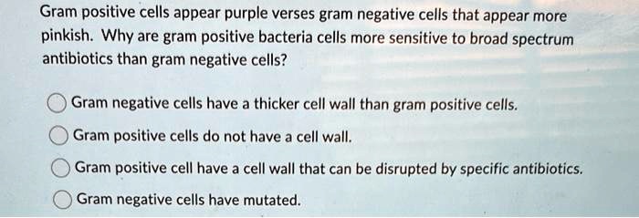 SOLVED: Gram positive cells appear purple verses gram negative cells ...