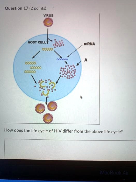 SOLVED: Question 17 (2 points) VIRUS HOST CELL MRNA How does the life ... SOLVED: Question 17 (2 points) VIRUS HOST CELL MRNA How does the life ...