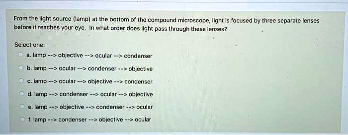 SOLVED:From the light source (lamp) at the bottom of the compound ...