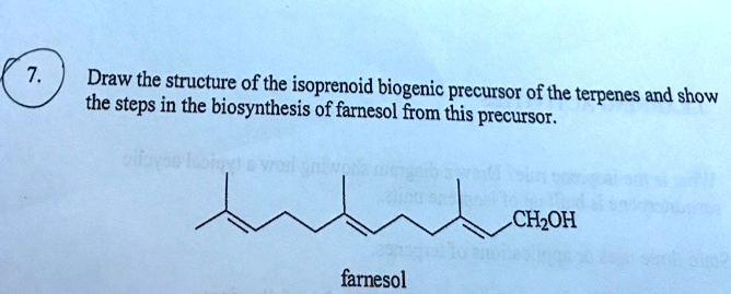 SOLVED: Draw the structure of the isoprenoid biogenic precursor of the ...