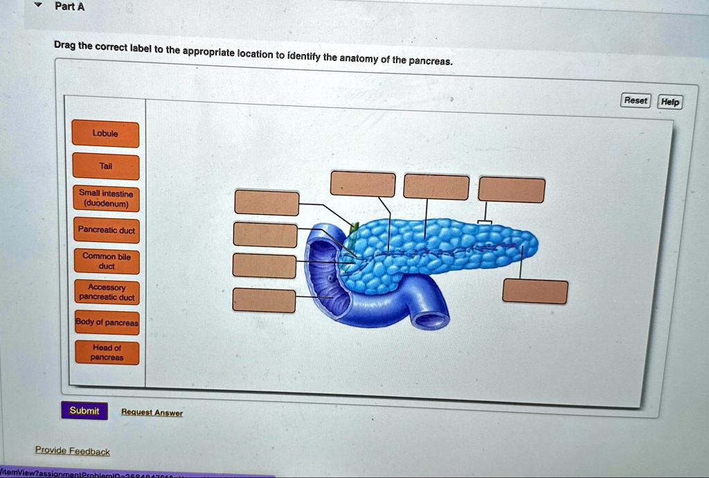 [GET ANSWER] Part A Drag the correct label to the appropriate location ...