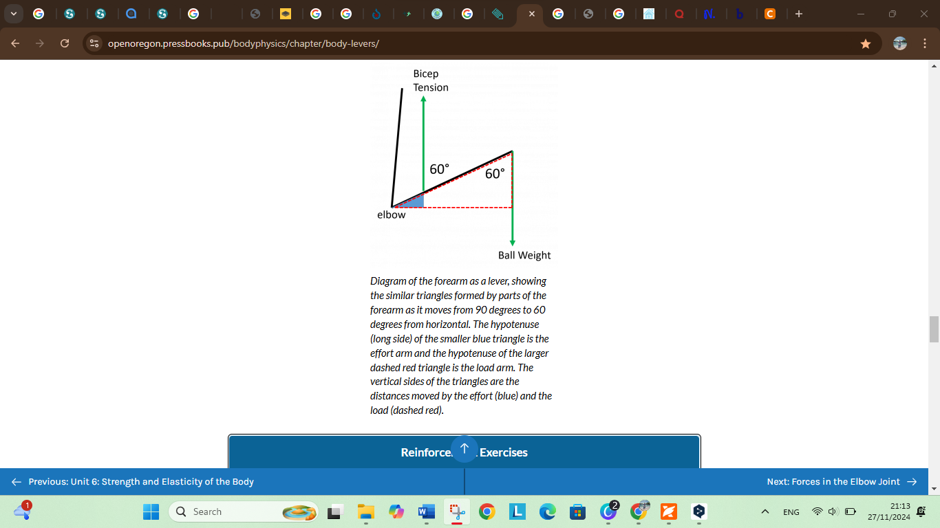 openoregon.pressbooks.pub/bodyphysics/chapter/body-levers/ Diagram of ...