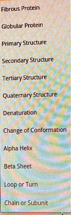 Fibrous Protein Globular Protein Primary Structure Secondary Structure ...