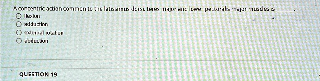 a concentric action common to the latissimus dorsi teres major and ...
