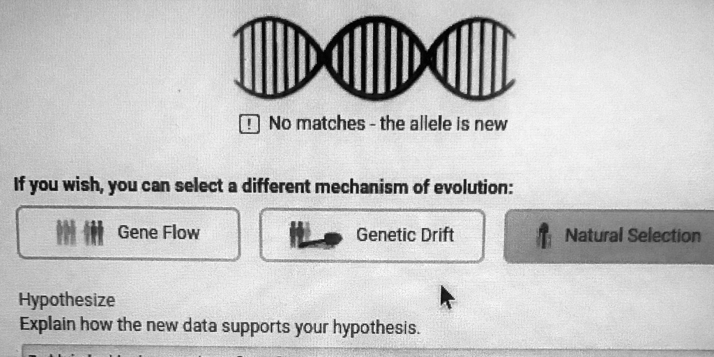 [GET ANSWER] ! No matches - the allele is new If you wish, you can ...