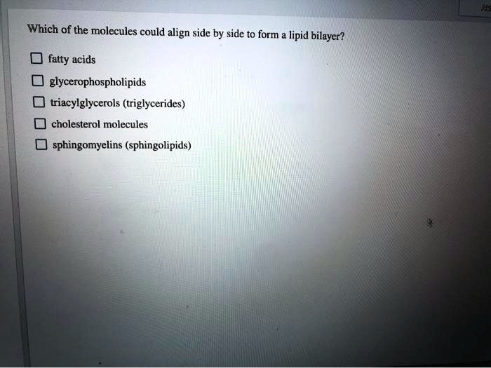 SOLVED: Which of the molecules could align side by side to form lipid ...