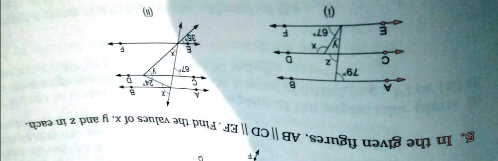 5. In the given figures, AB || CD || EF. Find the values of x, y and z in each. (i) 67° Z (ii) 24°