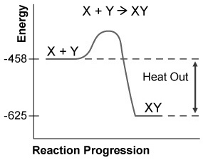 SOLVED: 'Consider the reaction pathway graph below. Which kind of ...