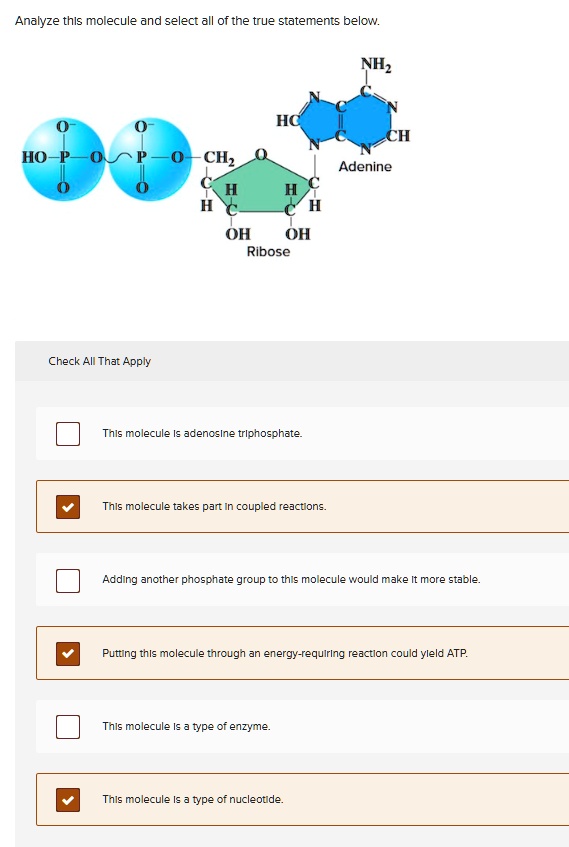 SOLVED: Analyze this molecule and select all of the true statements below. NH3 H2O CH4 Adenine H ...
