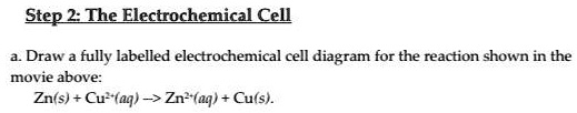 SOLVED: Step 2: The Electrochemical Cell Draw a fully labeled ...
