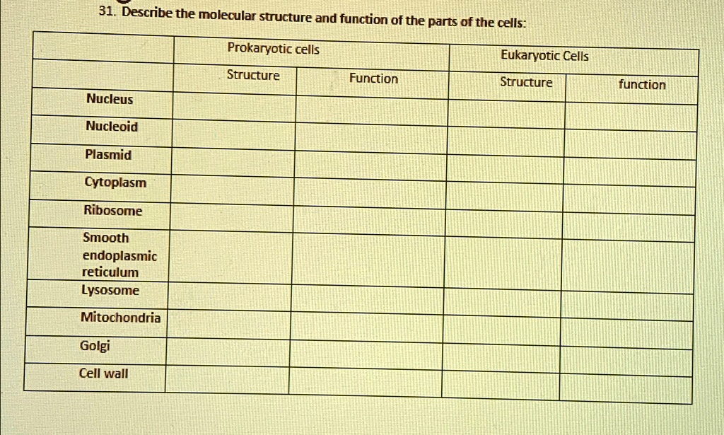31. Describe the molecular structure and function of the parts of the ...