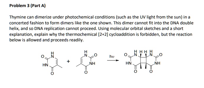 problem part a thymine can dimerize under photochemica conditions such ...