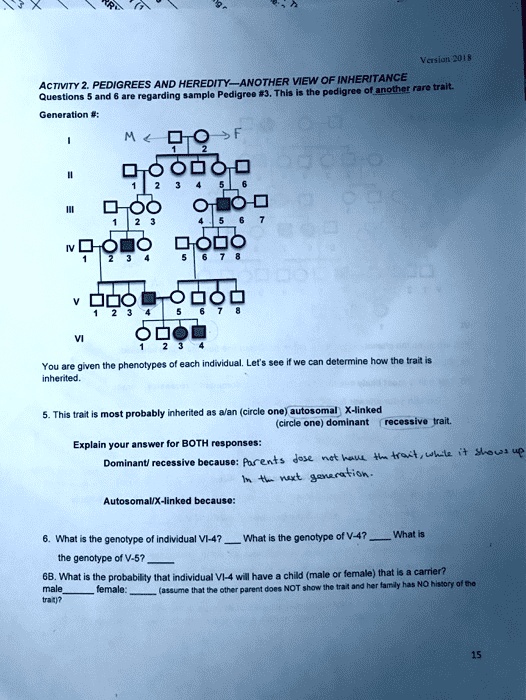 SOLVED: " Version 2018 ACTIVITY 2. PEDIGREES AND HEREDITY-ANOTHER VIEW ...