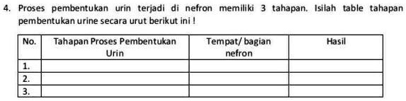 SOLVED: tolong jawab kak no ngasal-ngasal!! Proses pembentukan urin ... SOLVED: tolong jawab kak no ngasal-ngasal!! Proses pembentukan urin ...