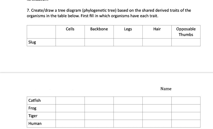 7 createdraw tree diagram phylogenetic tree based on the shared derived ...