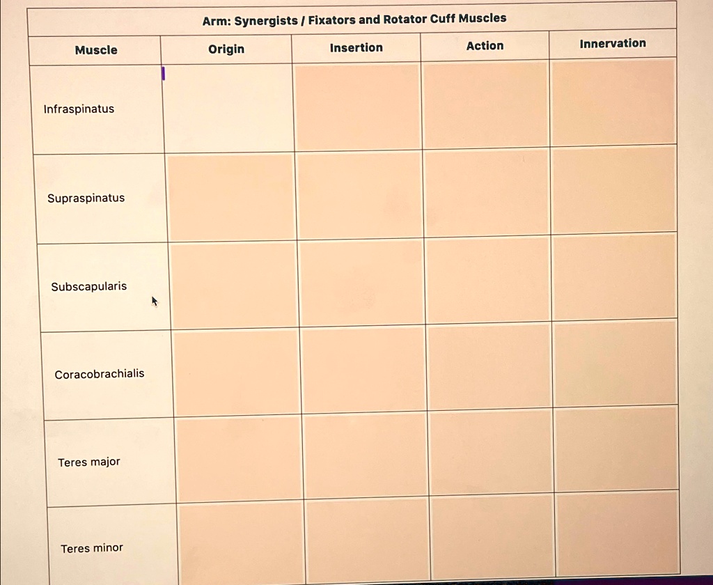 Muscle Infraspinatus Supraspinatus Subscapularis Coracobrachialis Teres ...