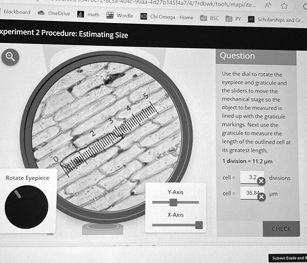 Experiment 2 Procedure: Estimating Size Question Use the dial to rotate the eyepiece and ...