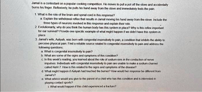 Jamal is a contestant on a popular cooking competition. He...