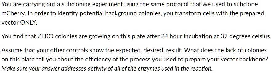 you are carrying out a subcloning experiment using the same protocol ...