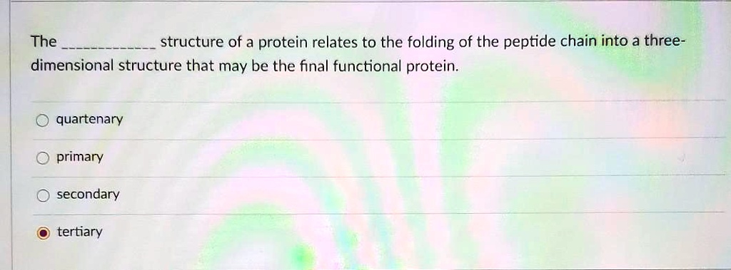 SOLVED: The structure of a protein relates to the folding of the ...