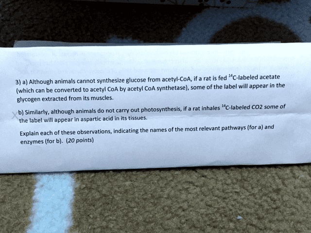 [GET ANSWER] 3) a) Although animals cannot synthesize glucose from ...