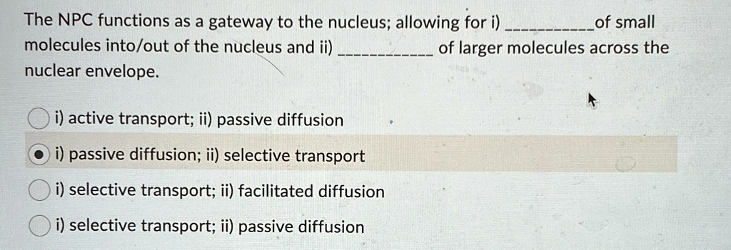 the npc functions as a gateway to the nucleus allowing for i of small ...