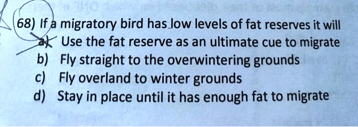 VIDEO solution: 68) If a migratory bird has low levels of fat reserves ...