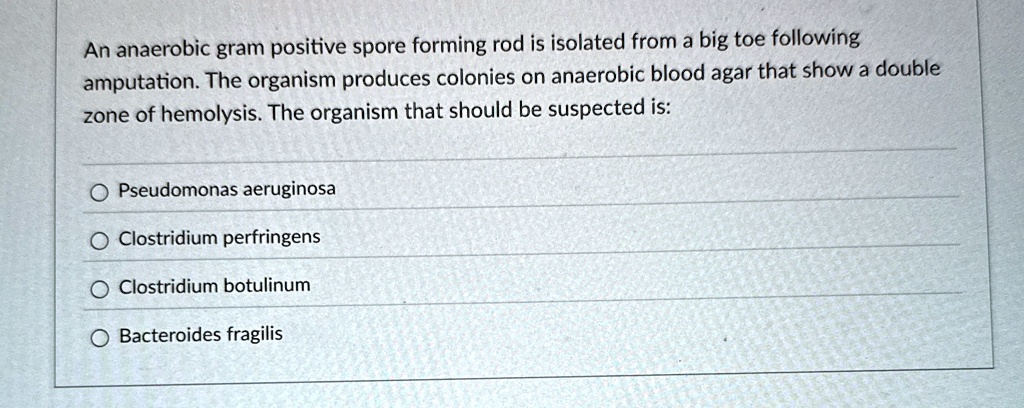 an anaerobic gram positive spore forming rod is isolated from a big toe ...