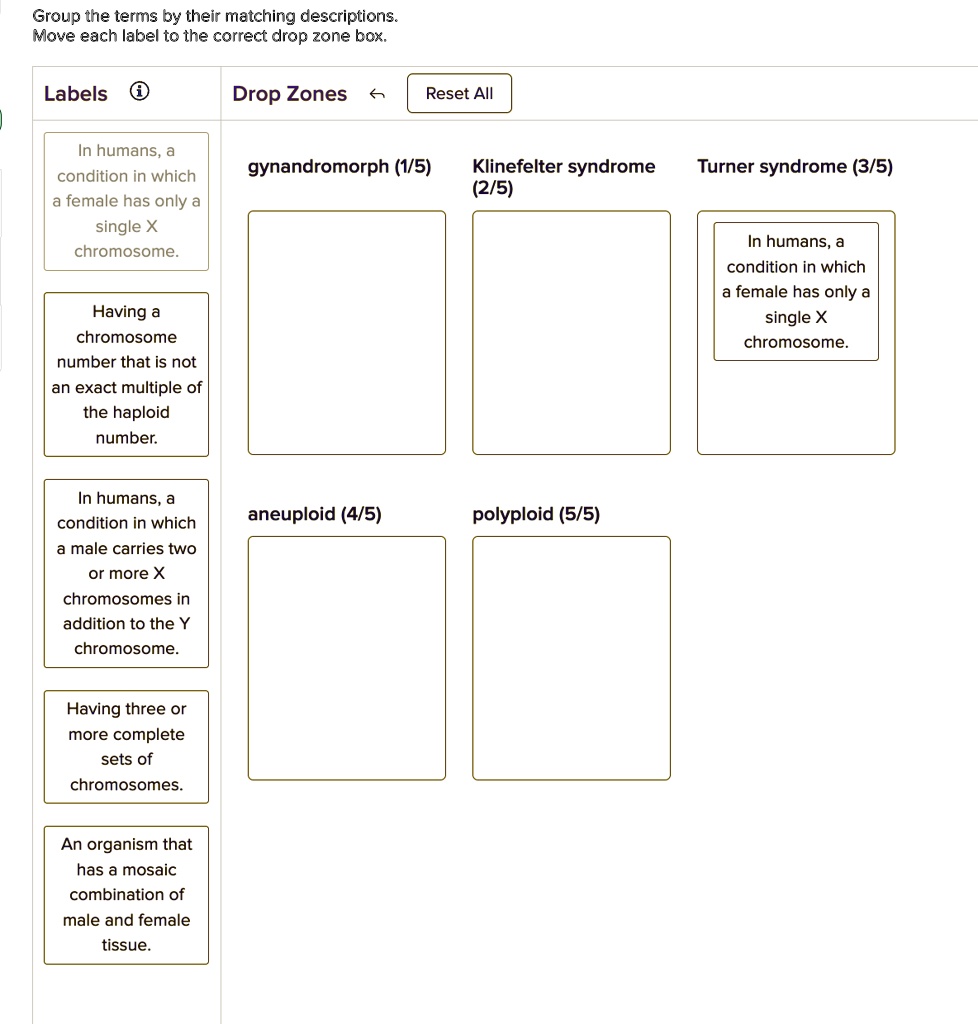 group the terms by their matching descriptions move each label to the ...