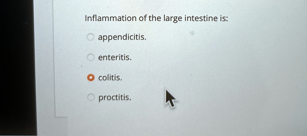 inflammation of the large intestine is appendicitis enteritis colitis ...