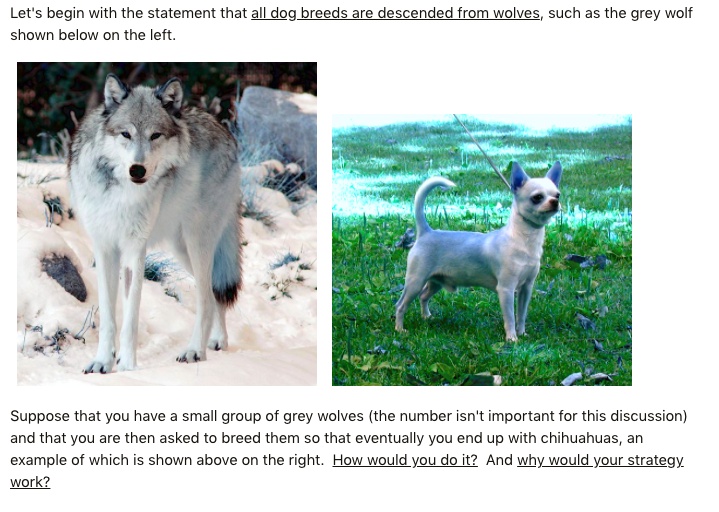 SOLVED: Let's begin with the statement that all dog breeds are ...