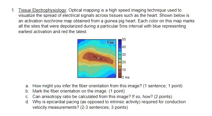 SOLVED: Issue Electrophysiology: Optical mapping is a high-speed ...