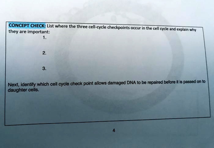 concept check list where the three cell cycle checkpoints occur in the ...