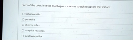 entry of the bolus into the esophagus stimulates stretch receptors that ...