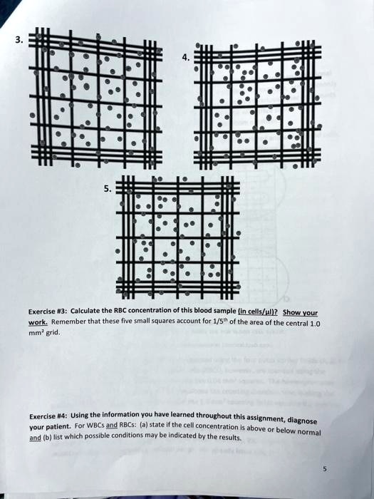 SOLVED: Exercise 03: Calculate the RBC concentration of this blood ...