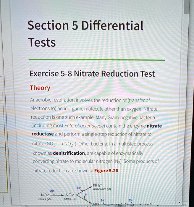 Section 5 Differential Tests Exercise 5-8 Nitrate Reduction Test Theory ...