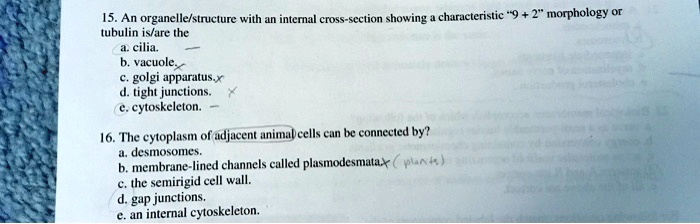 15. An organelle/structure with an internal cross-section showing a ...
