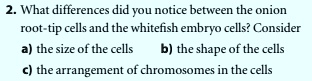 2 what differences did vou notice between the onion toot tip cells and ...