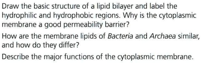SOLVED: Draw the basic structure of a lipid bilayer and label the hydrophilic and hydrophobic ...