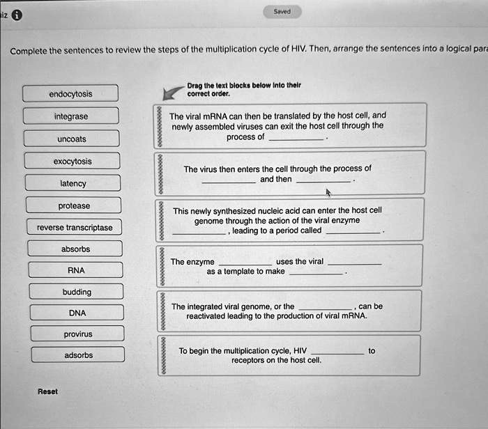 Nucleic Acid Definition Sentence at Marcus Vanhoose blog