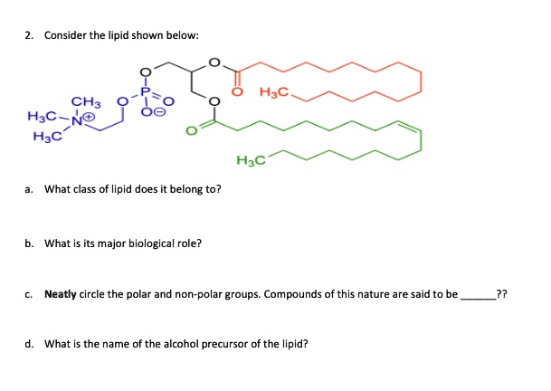 SOLVED: Consider the lipid shown below: H3C CH3 H3C-NH2 H3C What class ...