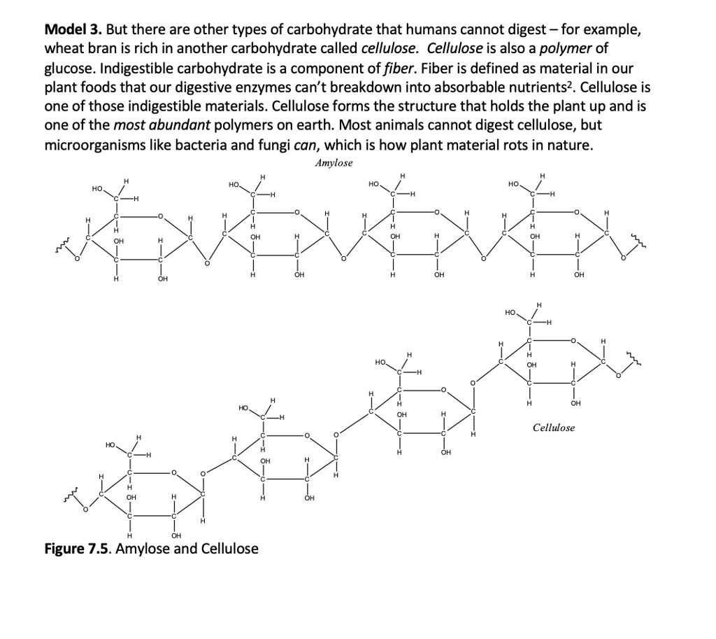SOLVED: "4. The structure of cellulose is compared to amylose in Figure ...
