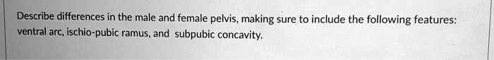 describe differences in the male andf female pelvis making sure to ...