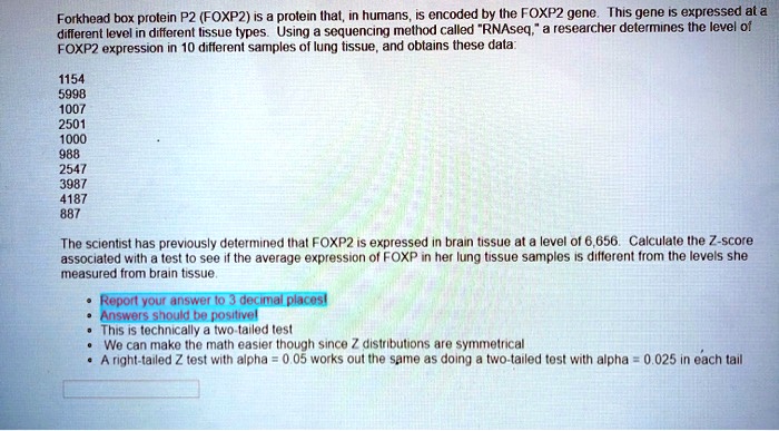 forkhead box prolein p2 foxp2 prolein ihal in humans encoded by ihe ...