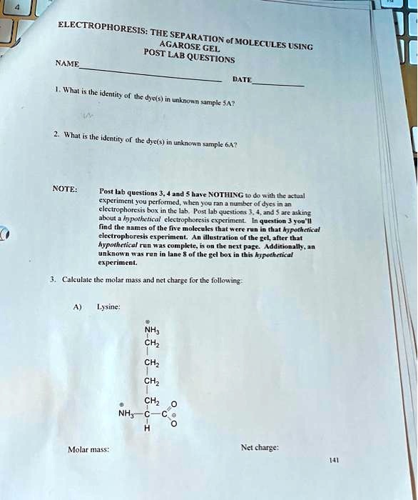 SOLVED: Electrophoresis: The separation of molecules using agarose gel. Name: Post Lab Questions ...