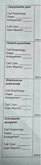 Campylobacter jejuni Cell Morphology Shape Arrangement Cell Color Gram ...
